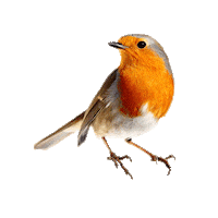 Visibility GIFs on GIPHY - Be Animated