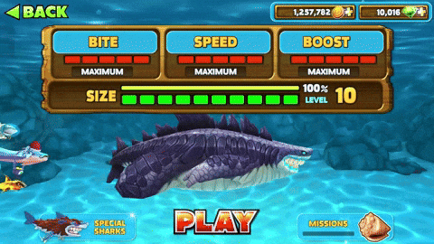 Maximum-speed GIFs - Get the best GIF on GIPHY