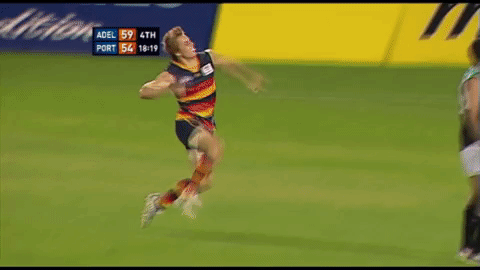 Afl Memories GIF by Adelaide Crows - Find & Share on GIPHY