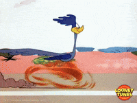 Road Runner Running Gif