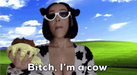 Doja Cat Cow GIF by Dawnie Marie - Find & Share on GIPHY
