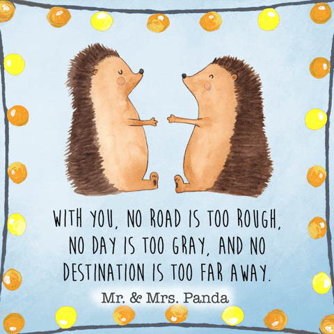 No-destination GIFs - Get the best GIF on GIPHY