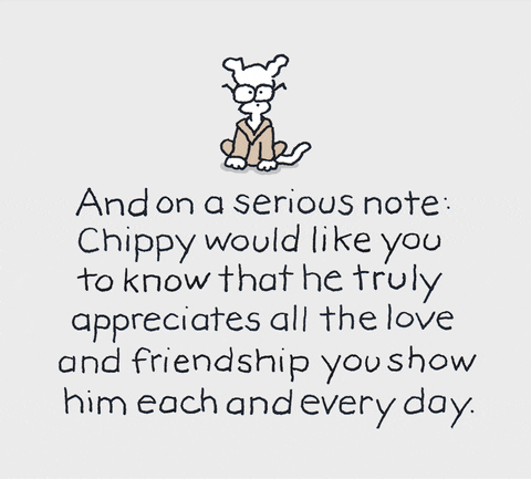 Thank U GIF by Chippy the Dog - Find & Share on GIPHY