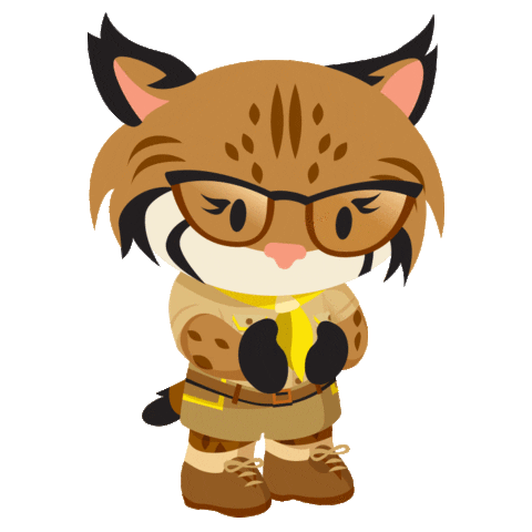 Cat Applause Sticker by AppExchange for iOS & Android | GIPHY