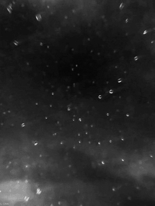 Rain Drops GIFs - Find & Share on GIPHY