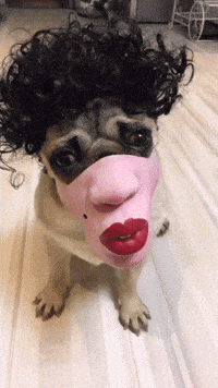 Weird Funny Gif