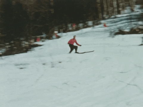 Winter Skiing GIF by McGill University - Find & Share on GIPHY