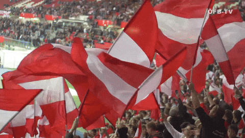 Waving Irish Flag Gif