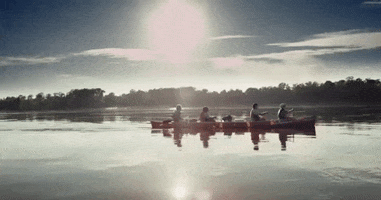 Mississippi Today GIFs - Find & Share on GIPHY