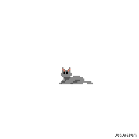 Cat Pixel GIF by joojaebum - Find & Share on GIPHY