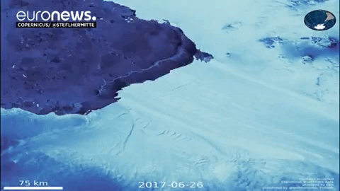 Ice GIF by euronews - Find & Share on GIPHY