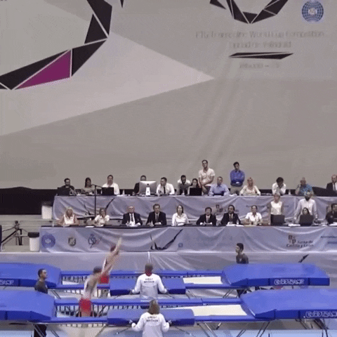 Synchronised-trampolining GIFs - Get the best GIF on GIPHY