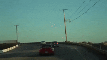 California GIF - Find & Share on GIPHY