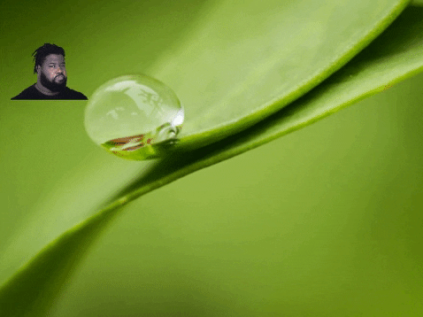 Water Gigf GIFs - Get the best GIF on GIPHY