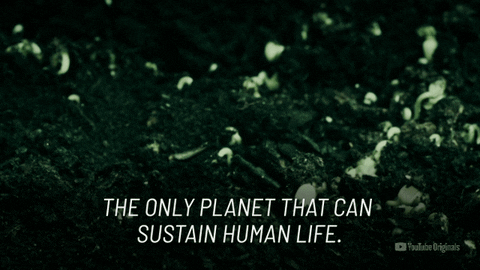 Tabularasa GIFs - Get the best GIF on GIPHY