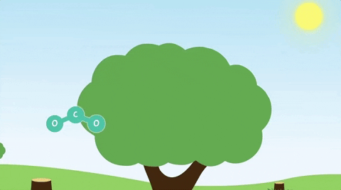 Climate Change Animation GIF - Find & Share on GIPHY
