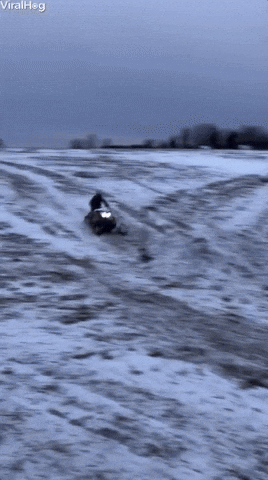 Snowmobile GIFs - Get the best GIF on GIPHY