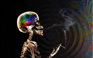 Brain On Drugs GIFs - Find & Share on GIPHY