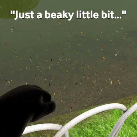 Ducks Toddler GIF by Bing Bunny - Find & Share on GIPHY