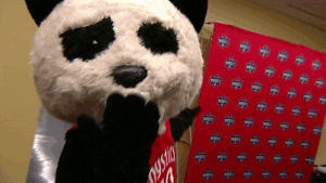 Pax-the-panda GIFs - Get the best GIF on GIPHY
