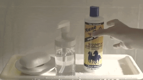 Horse Shampoo GIFs - Get the best GIF on GIPHY