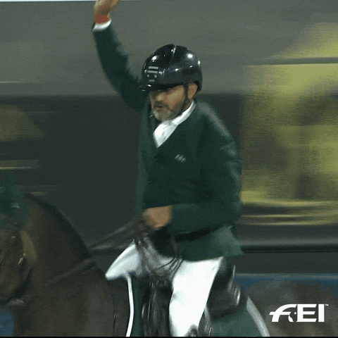 Celebrate Hands Up GIF by FEI Global - Find & Share on GIPHY