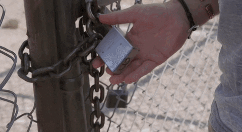 Looking In Locked Out GIF by 1st Look - Find & Share on GIPHY
