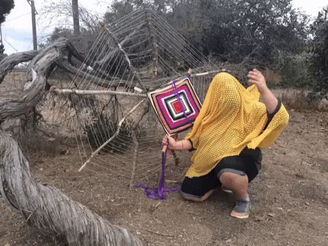 Pacific Standard Time GIFs - Get the best GIF on GIPHY