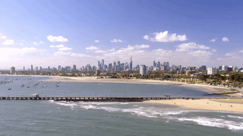 Australia Gp GIFs - Get the best GIF on GIPHY