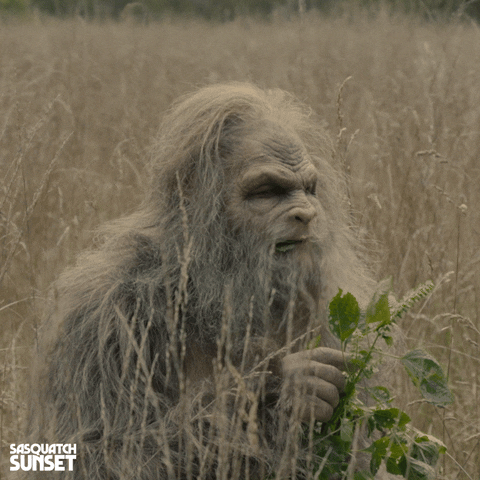Sasquatch Sunset by Bleecker Street | GIPHY