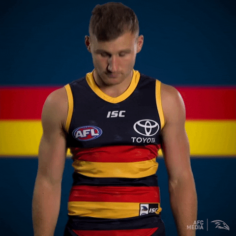 Rory Laird Afl GIF by Adelaide Crows - Find & Share on GIPHY