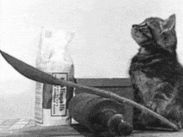 Spoon GIFs - Find & Share on GIPHY