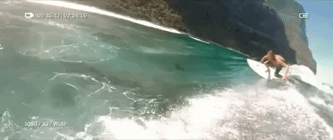 The Shallows GIFs on GIPHY - Be Animated