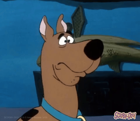 Shocked Dog GIF by Scooby-Doo - Find & Share on GIPHY