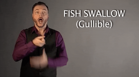Gullible GIFs - Get the best GIF on GIPHY