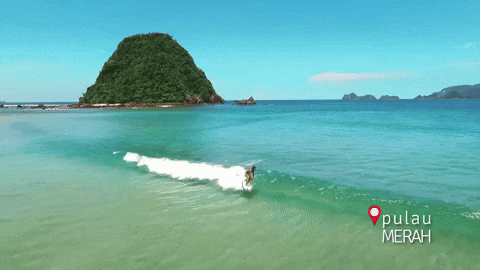 Pulau GIFs - Get the best GIF on GIPHY