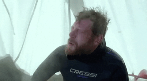 Happy Discovery Channel GIF by Discovery - Find & Share on GIPHY