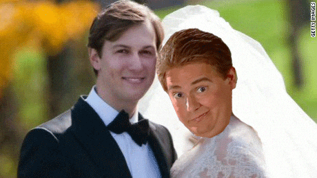 Tim Special Wedding GIFs - Get the best GIF on GIPHY