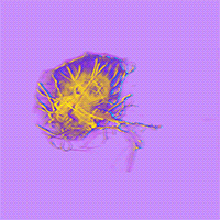 Animation Neon GIF by Ghostqiao - Find & Share on GIPHY