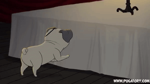 Scared Dog GIF by Pugatory - Find & Share on GIPHY