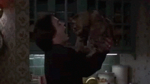 Robert-downey-cats GIFs - Get the best GIF on GIPHY