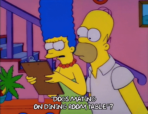 Dining-room GIFs - Get the best GIF on GIPHY