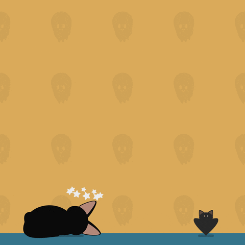 Cat And Mouse Game GIFs - Get the best GIF on GIPHY