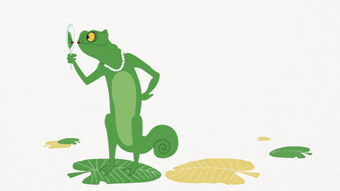 Self Observation GIFs - Get the best GIF on GIPHY