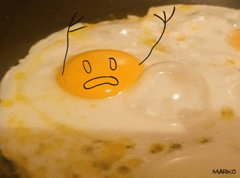 Fried Egg GIF by marko - Find & Share on GIPHY