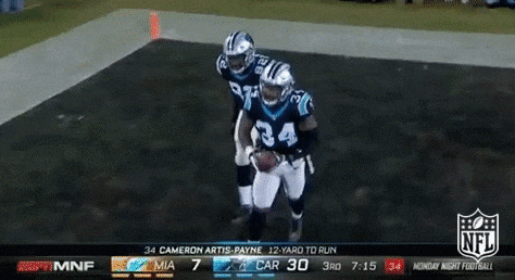 Carolina Panthers Football GIF by NFL - Find & Share on GIPHY