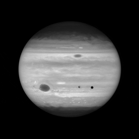 Jupiters GIFs - Get the best GIF on GIPHY