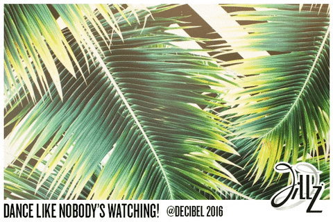 Decibel-2016 GIFs - Get the best GIF on GIPHY