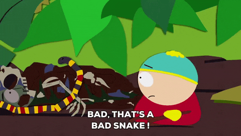 Bad Snake GIFs - Find & Share on GIPHY