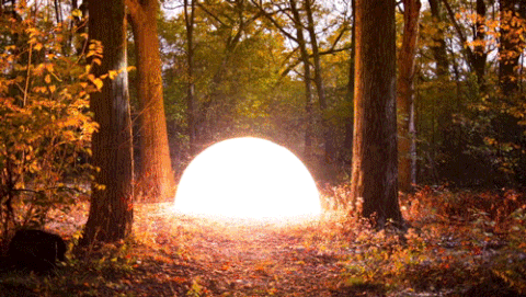 Animation Ignite GIF by Daniel Barreto - Find & Share on GIPHY